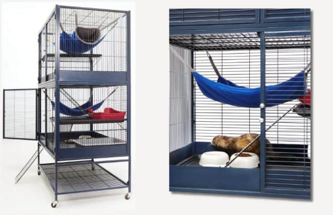 How to Set Up a Ferret Cage [Your Complete Guide] - Pet Gear Info